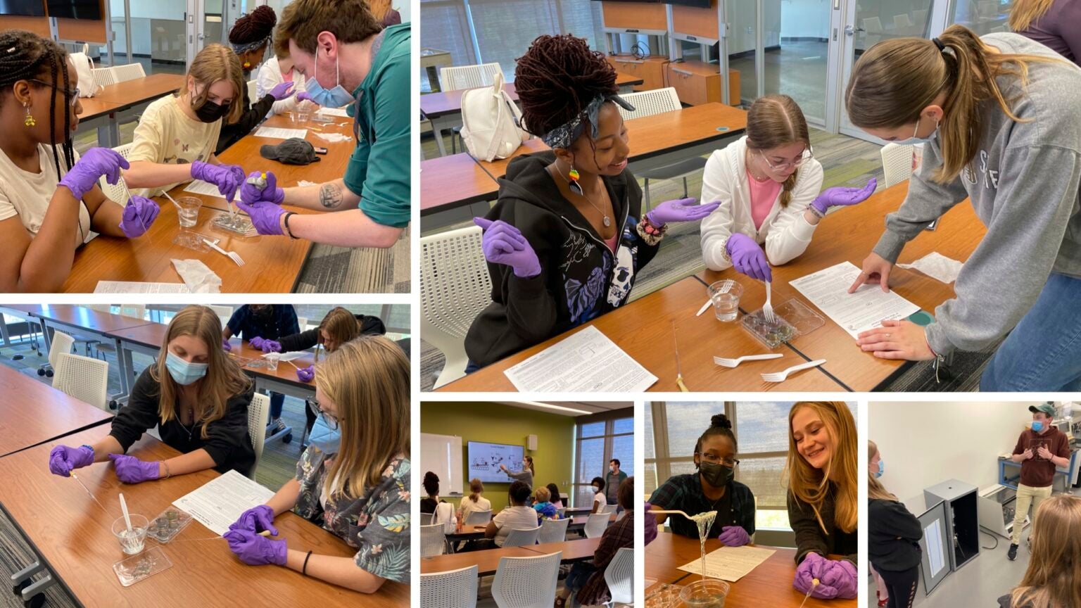 Teaching – BioNano Materials Lab