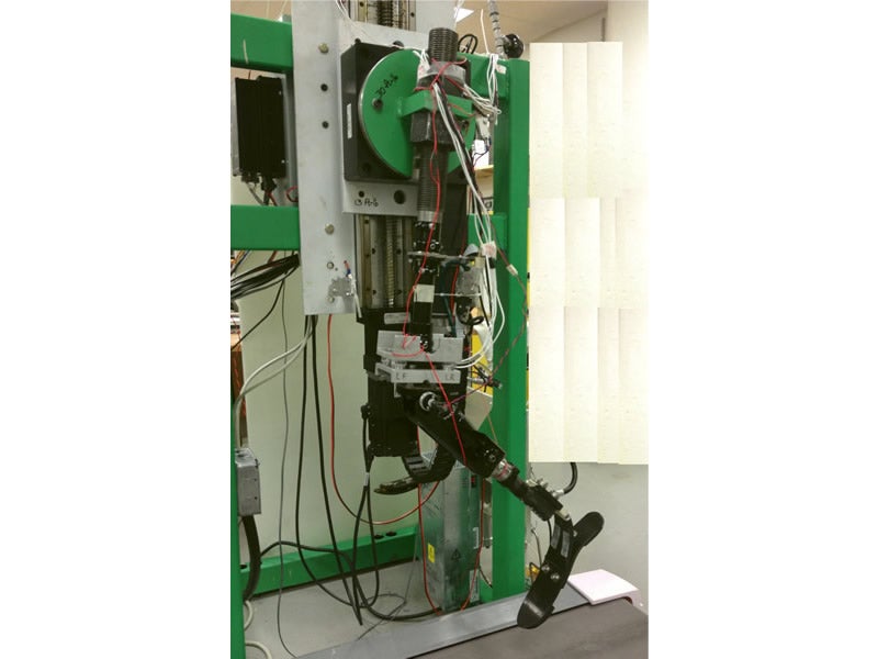 Richter, Hanz – Hanz Richter – Research and Teaching