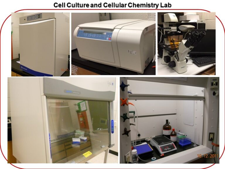 Instrumentation – Sunlab