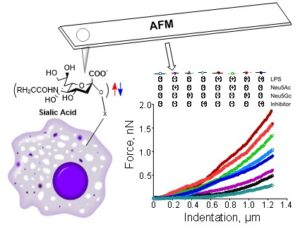Publications – Sunlab